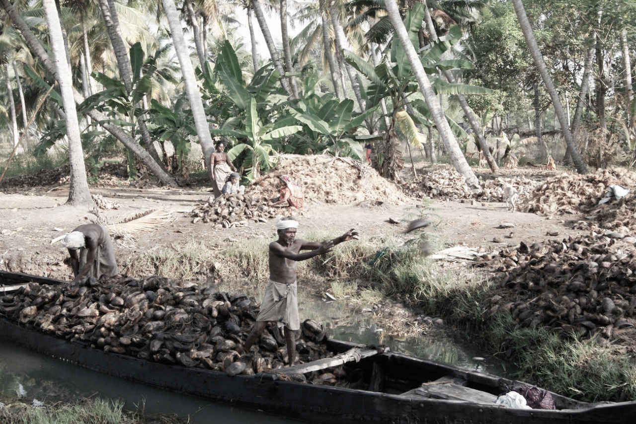 The History & Cultural Significance of Coir in India- JAYASREE COIR MILLS