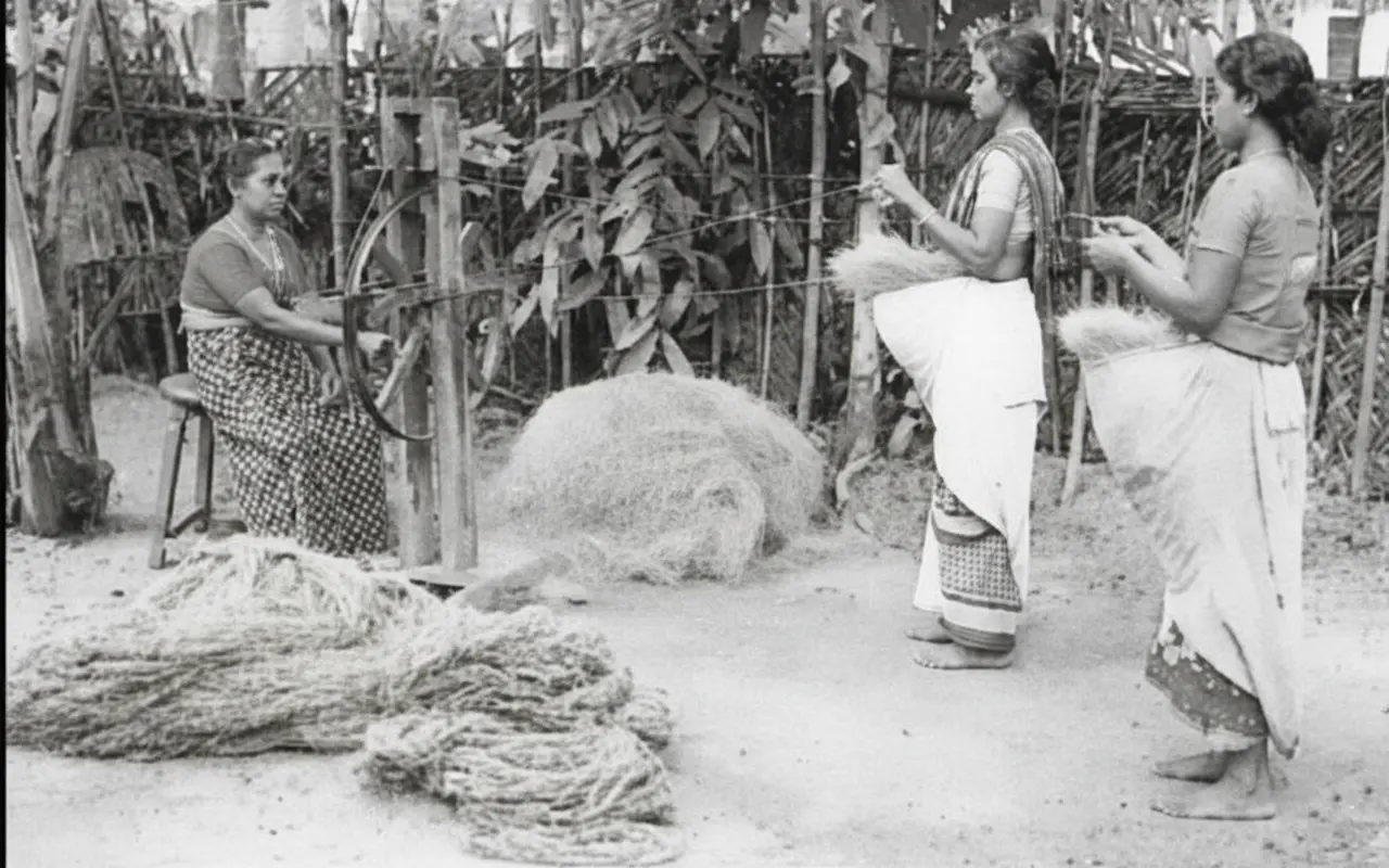 The History & Cultural Significance of Coir in India- JAYASREE COIR MILLS